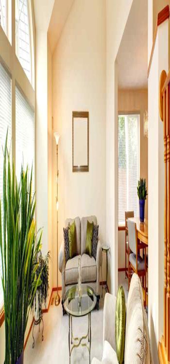 Ivory Colour Paint Combination