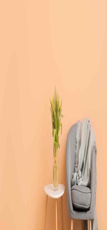 Asian Paints Colour Codes with Images for Indian House 2023