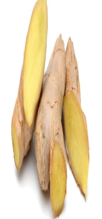 10 Effective Ways to Get Rid of Houseflies at Home Naturally and Safely