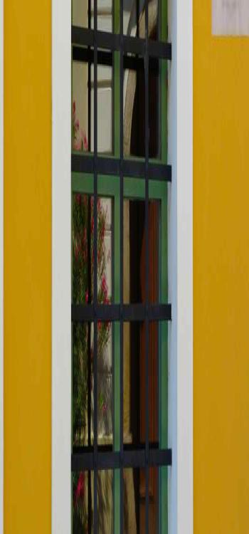 Trendy Window Colour Combination for the Indian Homes in 2024