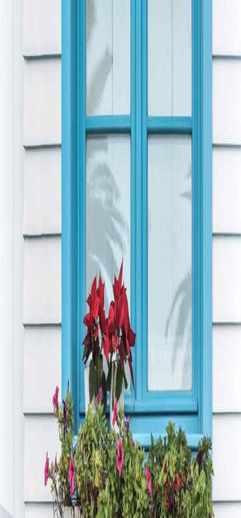 Trendy Window Colour Combination for the Indian Homes in 2024