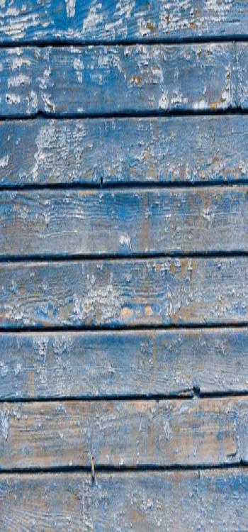 The Best 15 Royal Texture Paint Designs for the Hall in 2024