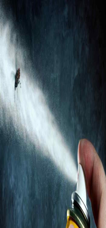 10 Effective Ways to Get Rid of Houseflies at Home Naturally and Safely