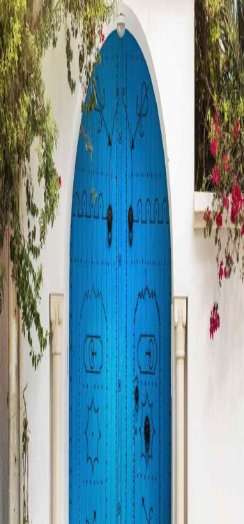 15 main gate colour combinations for Indian homes in 2024