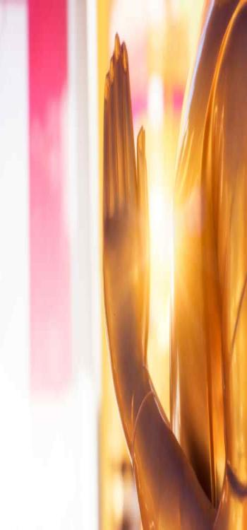 Buddha Statue for Home Vastu Tips - Placement, Direction, Decoration ...