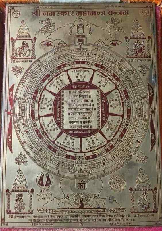 The Secrets of Brahma Kamal Plant and Vastu for Home