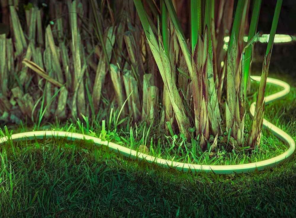 Illuminate Your Garden with Garden Lighting Ideas