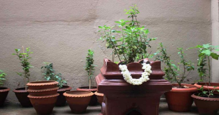 Home Tulsi Mandir Design: Tips & ideas for a beautiful space