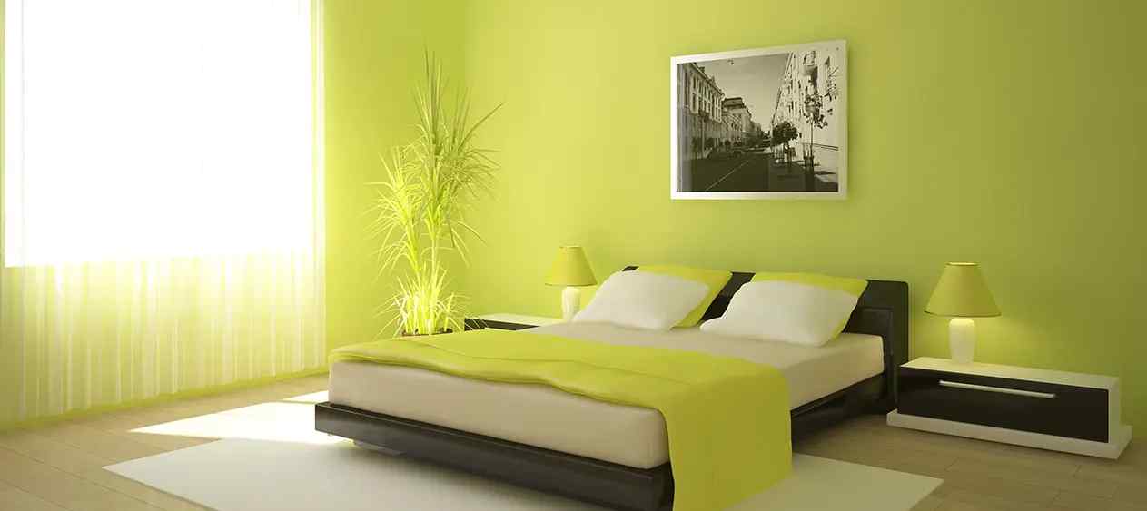 wall colour combination with light green: Fresh Ideas for Your Home