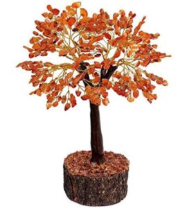 Know How to Implement a Crystal Tree Vastu at Home