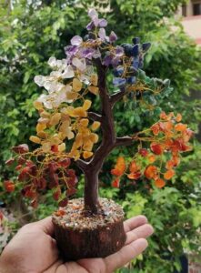 Know How to Implement a Crystal Tree Vastu at Home