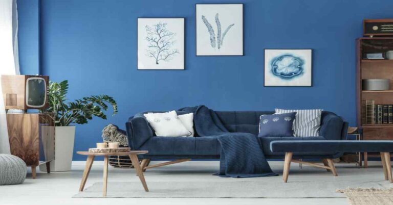Blue Colour Wall Paint Design Ideas to Elevate Your Space | Expert Tips