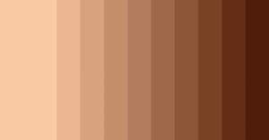 Brown Colour Combination for Home 2024