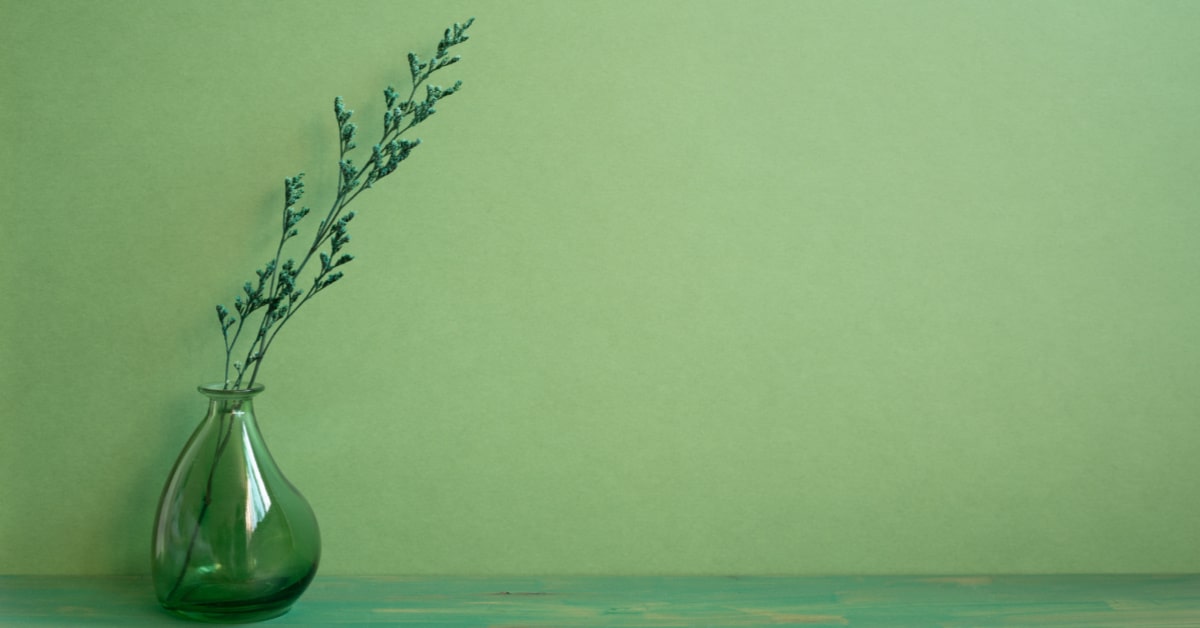 Top 10 Pista Green Colour Combinations For Your Walls 2024