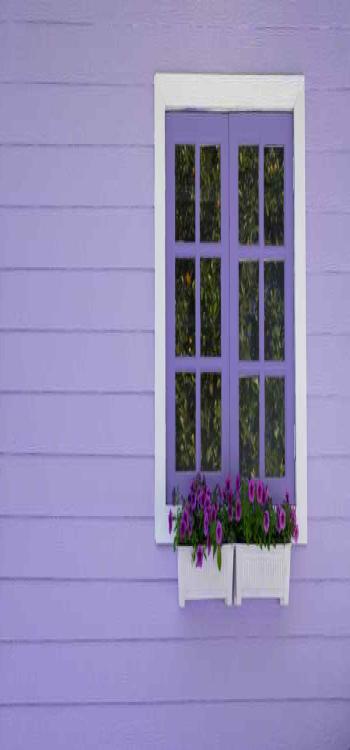 Trendy Window Colour Combination for the Indian Homes in 2024