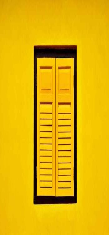 Trendy Window Colour Combination for the Indian Homes in 2024