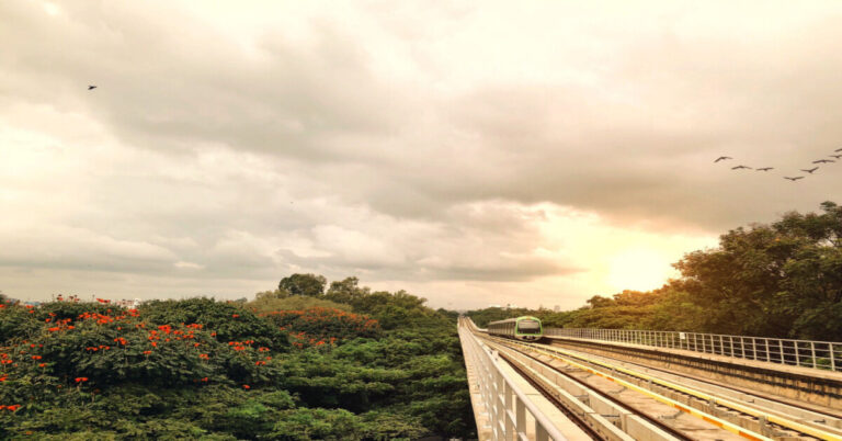 Yellow Line Metro Bangalore: Stations, Routes and Timings 2024