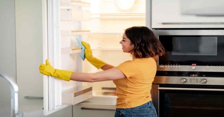 How to Clean Fridge: Unveiling the Art of Kitchen Hygiene