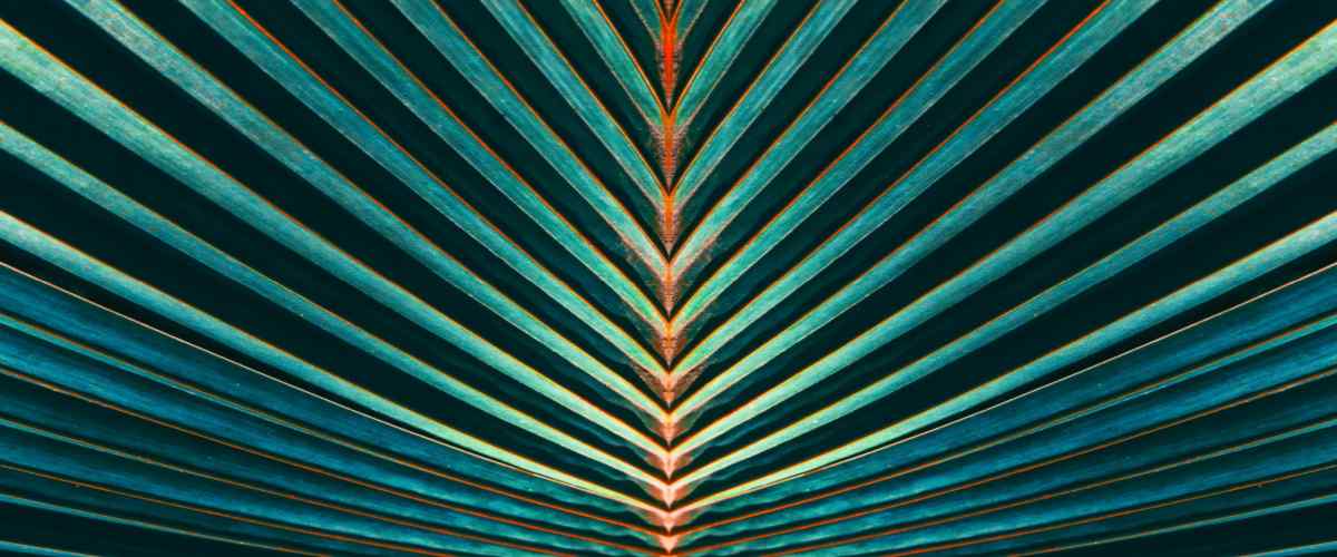 14 Royal Texture Paint Designs for Your Bedroom