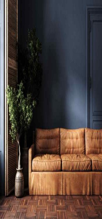 Top 20 Peacock Blue Colour Combinations For Your Walls 2024