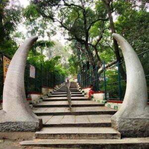 Best Parks in Bangalore: An Ultimate Guide